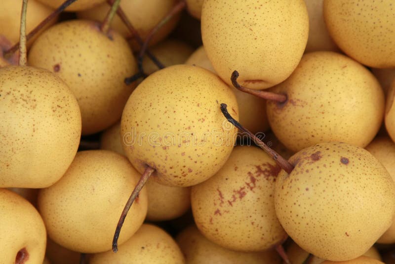 Yellow Pears stock image. Image of yellow, objects, growth - 13051185