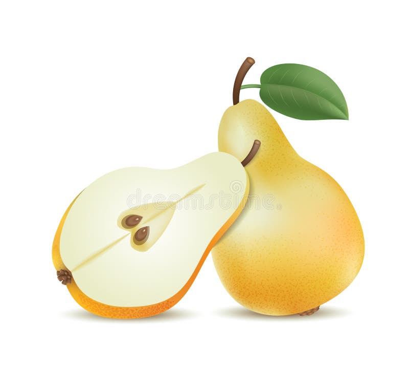 Yellow Pears with Green Leaf and Half Pear. Vector Mesh Illustration ...
