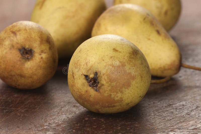 Yellow pears stock photo. Image of harvest, fruit, fruitage - 58944696