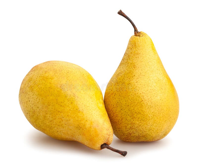 Yellow pears path isolated stock image. Image of path - 336862579