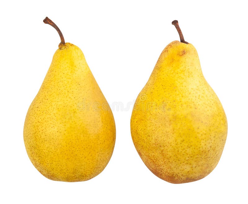 Yellow pears path isolated stock photo. Image of ripe - 336862716
