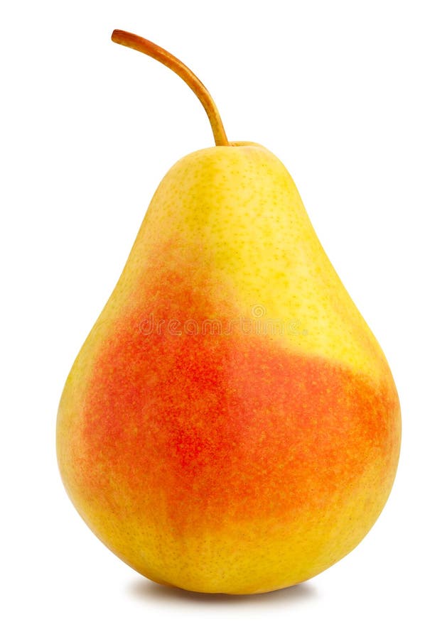 Yellow pears stock image. Image of ripe, single, tasty - 126019463