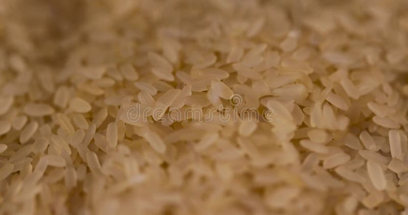 Yellow Peeled Rice in Close-up, Uncooked Stock Footage - Video of ...