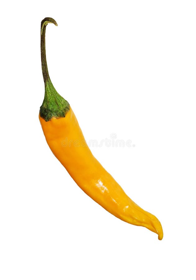 Yellow pepper stock photo. Image of taste, white, nutrition - 6964946