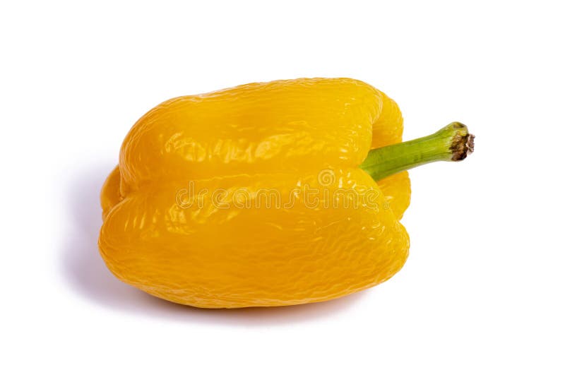 Yellow Pepper Isolated on a White Background. Shriveled Pepper Stock ...