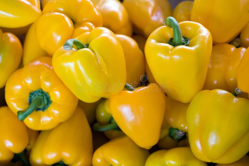 Yellow peppers stock image. Image of stem, fruits, food - 5211225