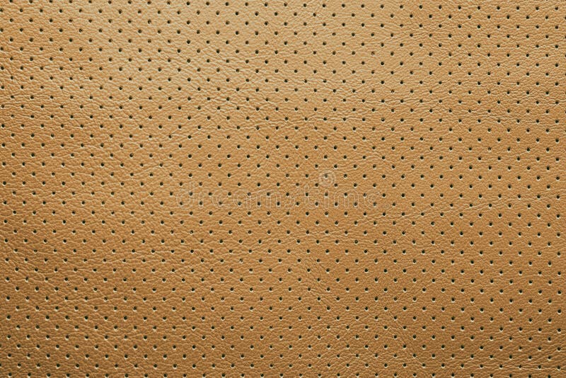 837 Perforated Leather Texture Stock Photos - Free & Royalty-Free Stock ...