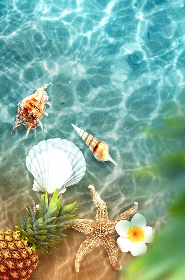Yellow Pineapple, Seashells and Flowers on a Blue Water Background ...