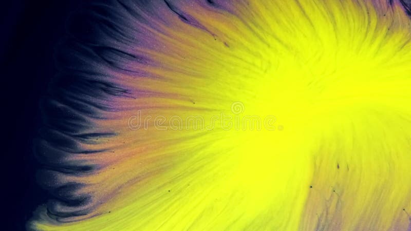 Yellow and Pink Colorful Moving Particles,. Abstract Liquid Particles ...