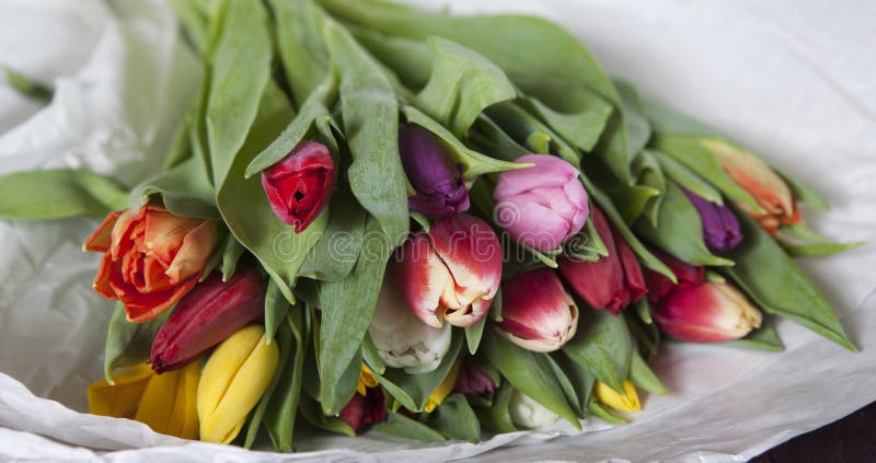 Yellow, Pink, Red, Violet Tulips Stock Photo - Image of bouquet, bunch ...