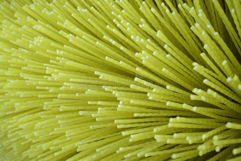Plastic Bristles of a Brush, Abstract Macro Background Stock Photo ...