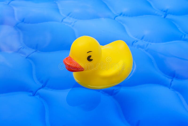 Yellow Plastic Duck in the Pool Stock Image - Image of pool, plastic ...