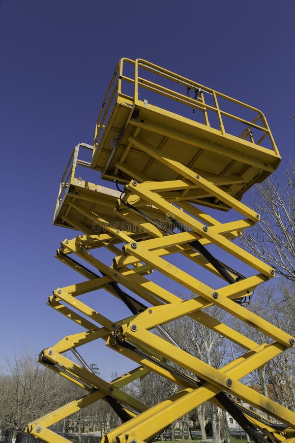 Platform Lift on the Branches of Pine Tree for Pruning and Maintenance ...