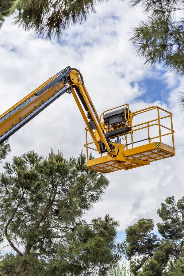 Yellow Platform Lift Over the Treetops To Prune Tree Branches Stock ...