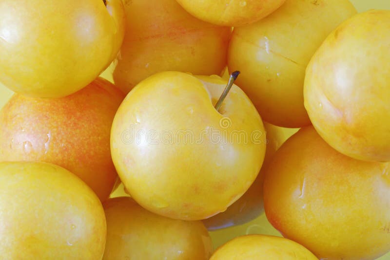 Yellow plums stock image. Image of healthy, ripe, pile - 11663209