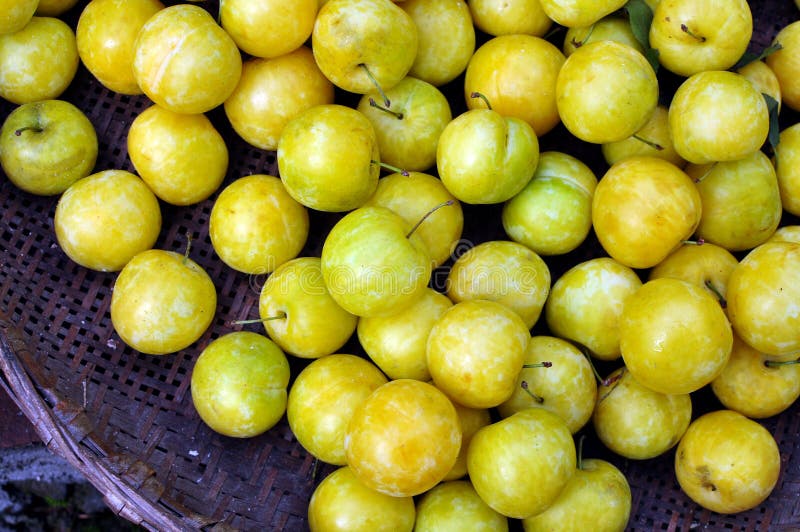 Yellow plums stock image. Image of sweet, fruits, plums - 25656997