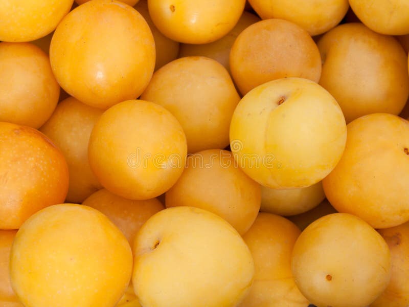 Yellow plums stock photo. Image of damson, plum, organic - 38234694