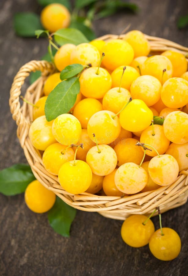 Yellow plums in the basket stock image. Image of vegetables - 38573185