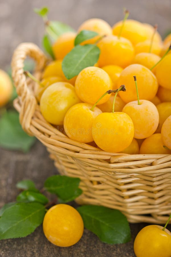 Yellow plums in the basket stock photo. Image of basket - 38575288