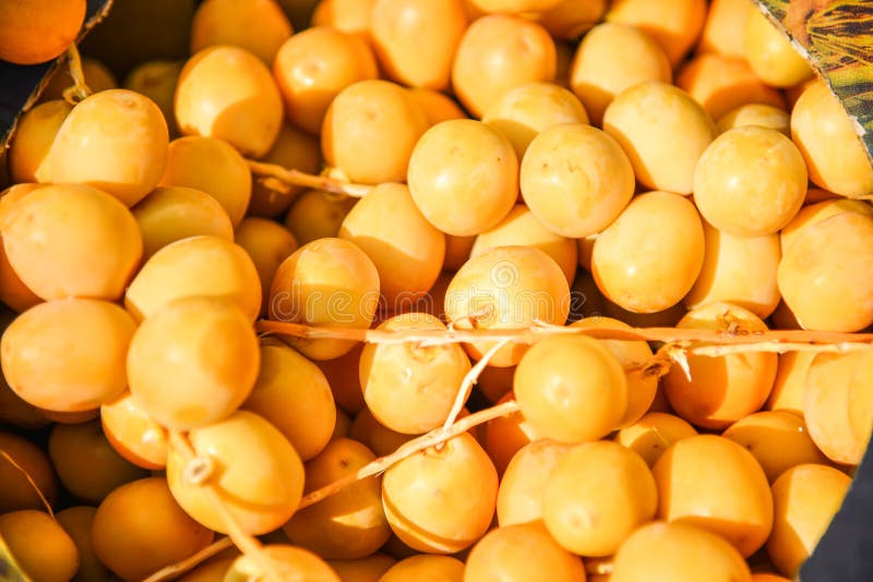 Yellow plums stock image. Image of objects, mirabellen - 51680919