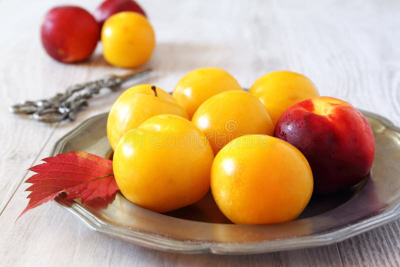 Yellow Plums and Red Nectarine Stock Image - Image of stone, detail ...
