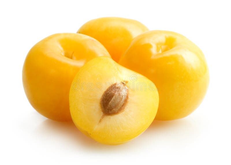 Yellow plums stock image. Image of plum, isolated, food - 19725263