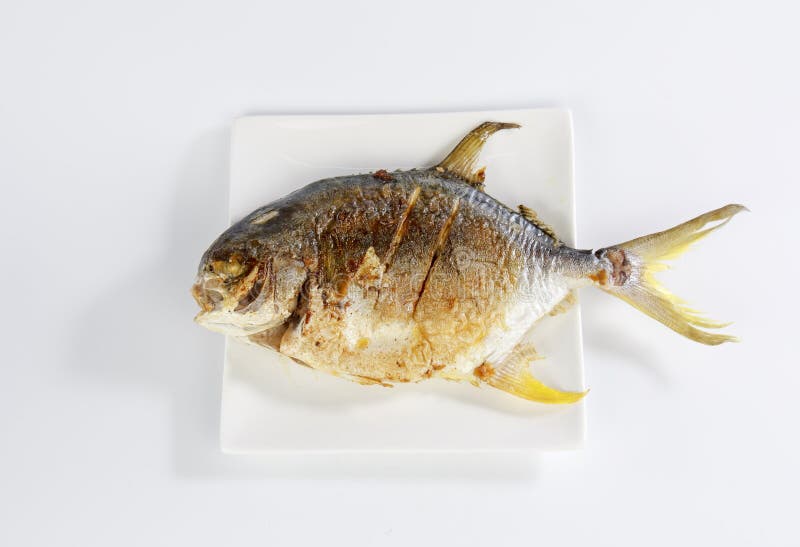 Sole Plates Stock Photos - Free & Royalty-Free Stock Photos from Dreamstime