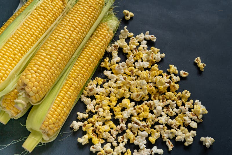 Yellow Popcorn and Corncobs and Raw Corn, Salt and Sweet Tastes Stock ...
