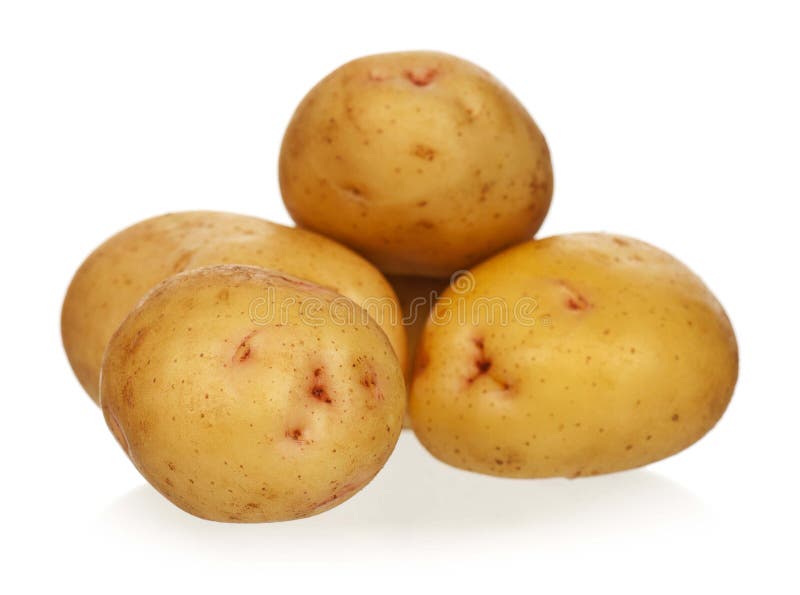 Yellow potato stock photo. Image of organic, carbohydrate - 43667072