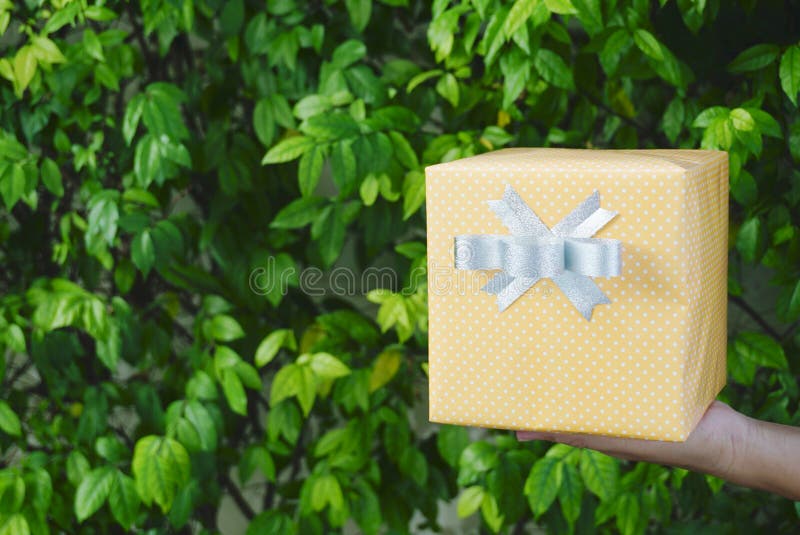 Yellow present box stock image. Image of gift, lawn, garden - 48835009