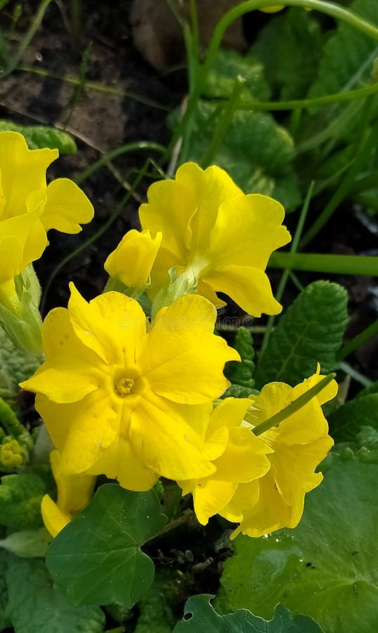 Upverticalb Stock Photos - Free & Royalty-Free Stock Photos from Dreamstime