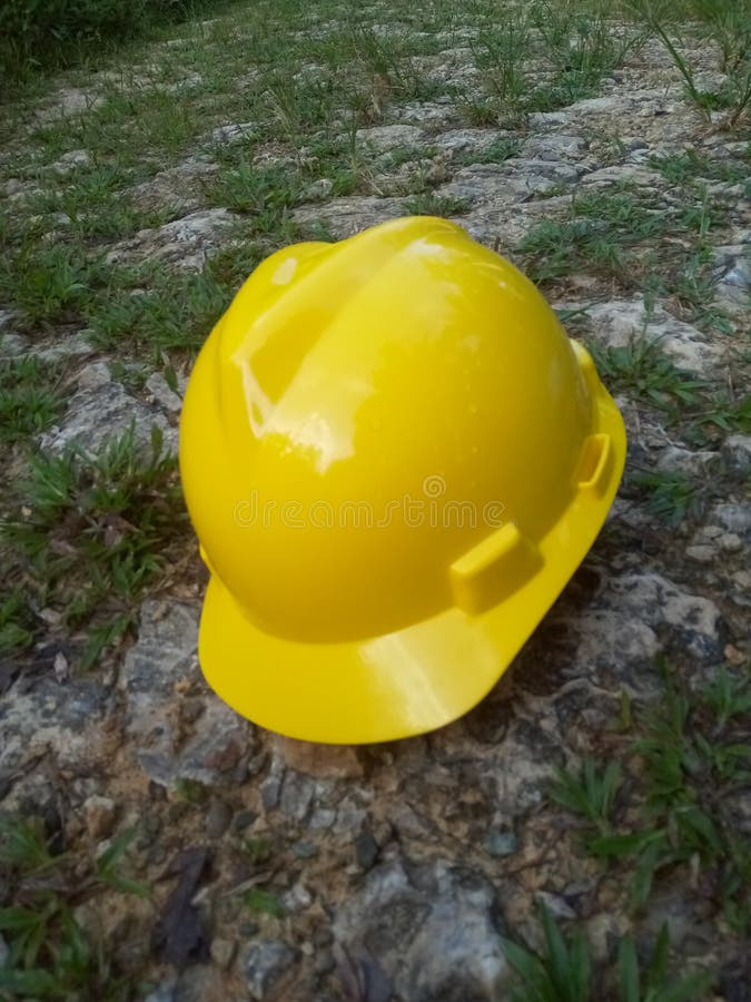 Yellow project helmet stock image. Image of green, waterfowl - 248727355