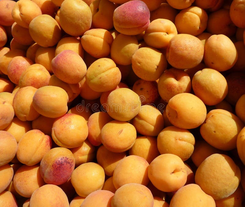 Yellow prunes stock image. Image of tasty, healthy, flavor - 22184611