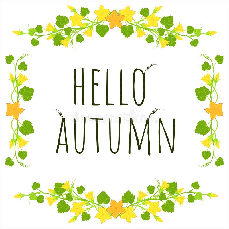 Yellow Pumpkin Flower Frame. Hello Autumn Postcard Stock Vector ...