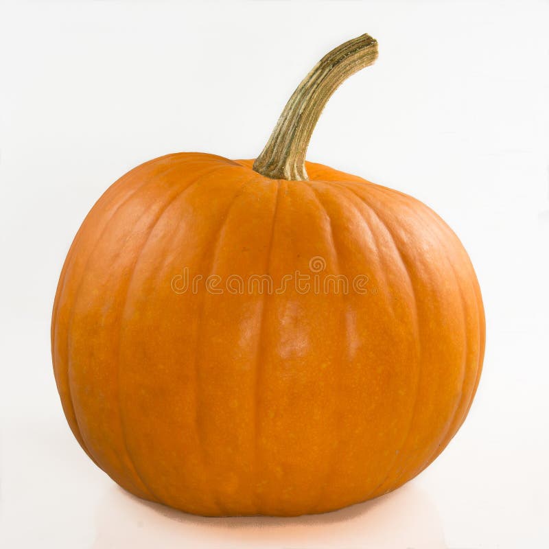 Yellow pumpkin stock photo. Image of background, white - 39304912