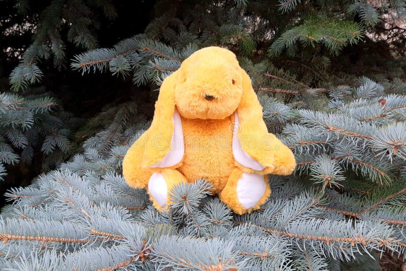 Yellow Rabbit, Symbol of 2023, Sits on Branch in Forest Stock Photo ...
