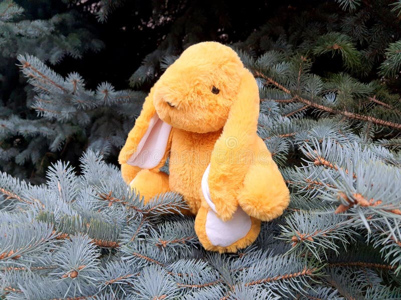 Yellow Rabbit, Symbol of 2023, Sits on Branch in Forest Stock Photo ...