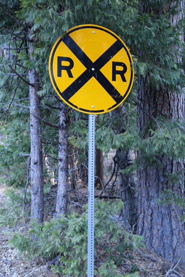 Yellow Railroad Crossing Sign with Pine Tree Background Stock Image ...