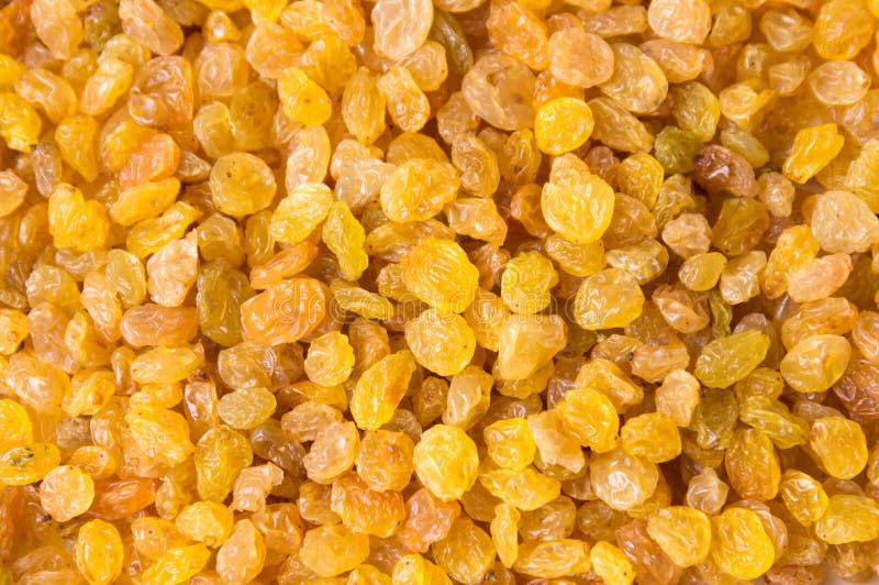 Raisins Forming a Cluster on White Background Stock Photo - Image of ...