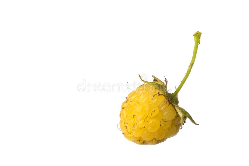 Yellow Raspberry Close Up on White Background Stock Photo - Image of ...