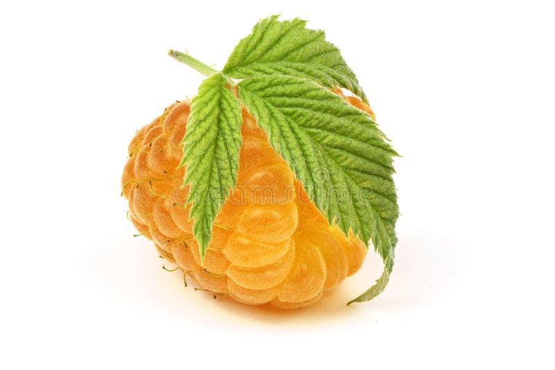 Yellow Raspberry Fruit with Leaves Stock Photo - Image of ingredient ...