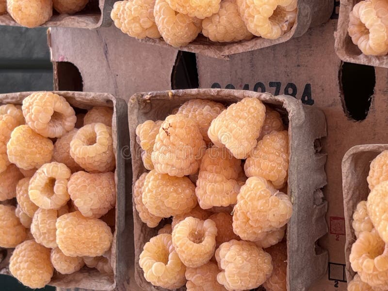 Yellow Raspberry, Golden Raspberry, Rubus Ellipticus Stock Photo ...