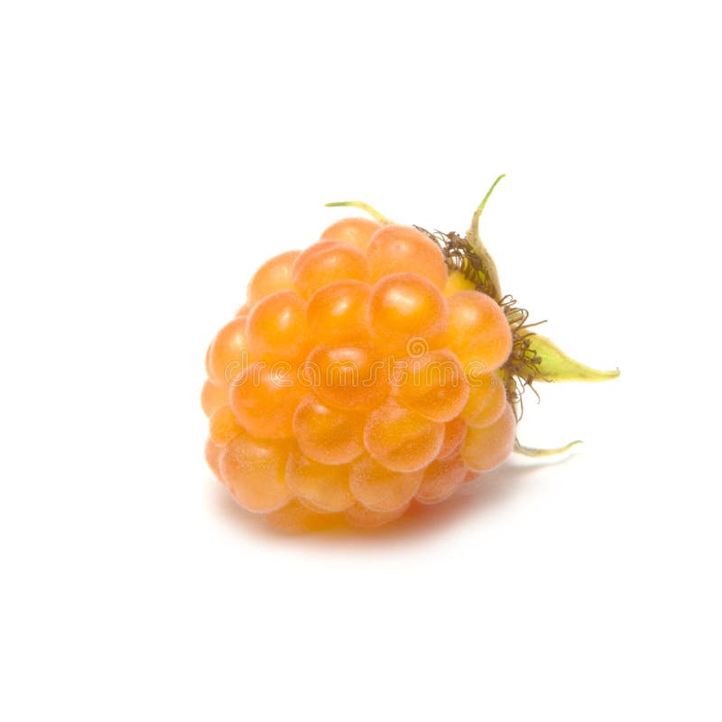 Yellow Raspberry with Leaves on a White Background Stock Photo - Image ...
