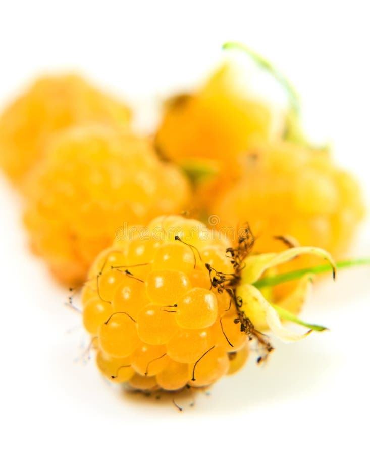 Yellow raspberry stock image. Image of raspberry, fruit - 5827417