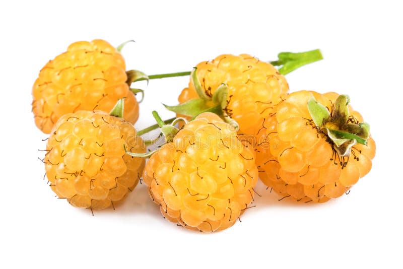 Yellow raspberry dessert stock photo. Image of ripe, yellow - 7532404