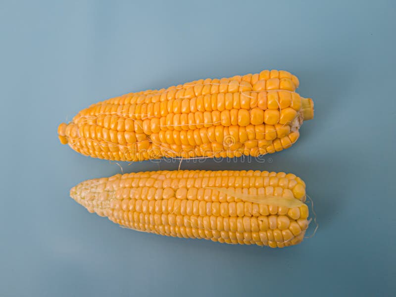 Yellow Raw Sweet Corn Ready To Cook Stock Photo - Image of cook, eating ...