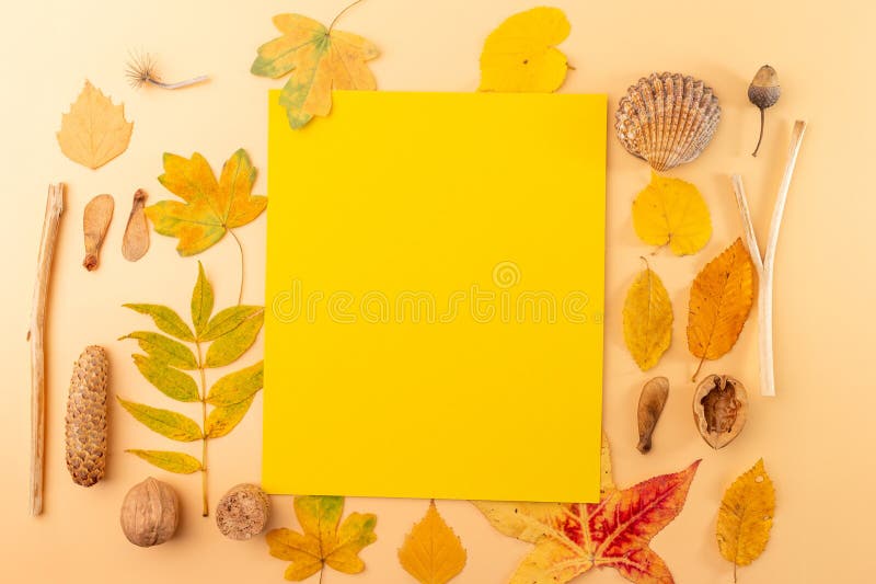 A Yellow Rectangular Sheet of Paper Placed in the Center of a Beige ...