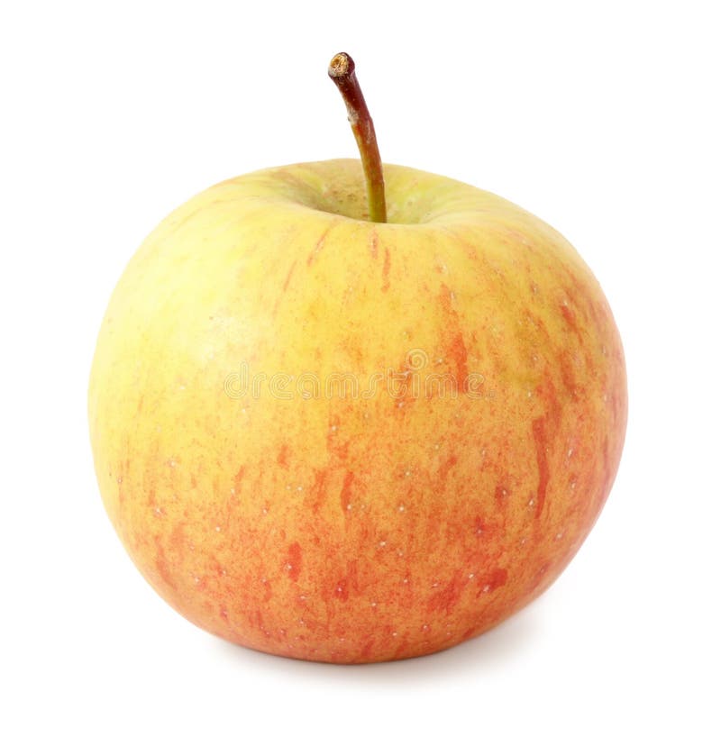 Yellow with red apple stock photo. Image of close, nature - 17010484