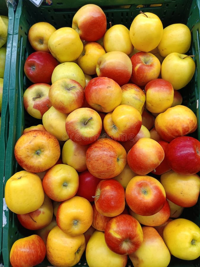 Yellow Red Apples Fresh from Garden Stock Image - Image of garden ...
