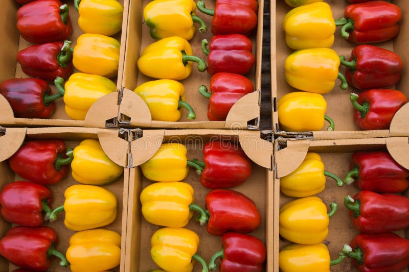 Yellow and red chilly stock image. Image of heat, isolated - 38804133